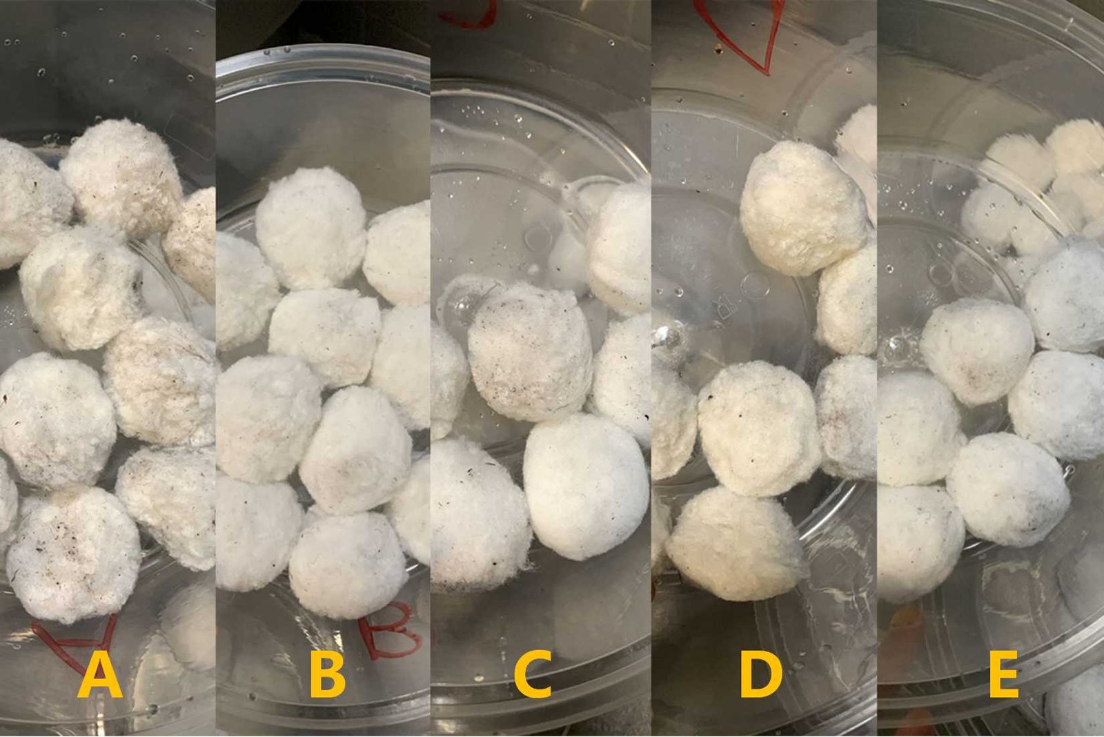Polyester Fiber Balls Performance Testing: Filtration & Recovery